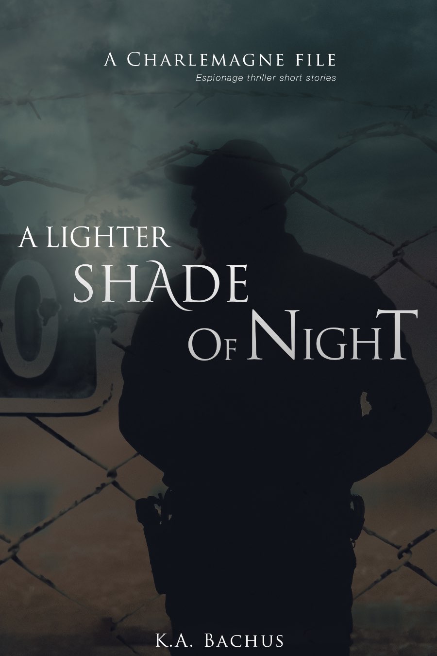 A Lighter Shade of Night